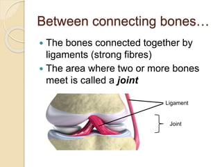 5.4 different kinds of joints | PPTX