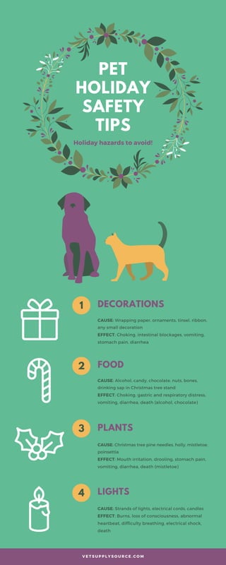 Pet Holiday Safety Tips: Holiday Hazards to Avoid | PDF