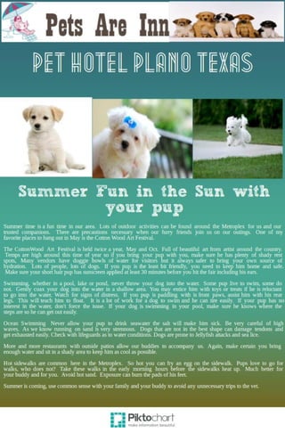 Pet Friendly Hotels Plano Tx