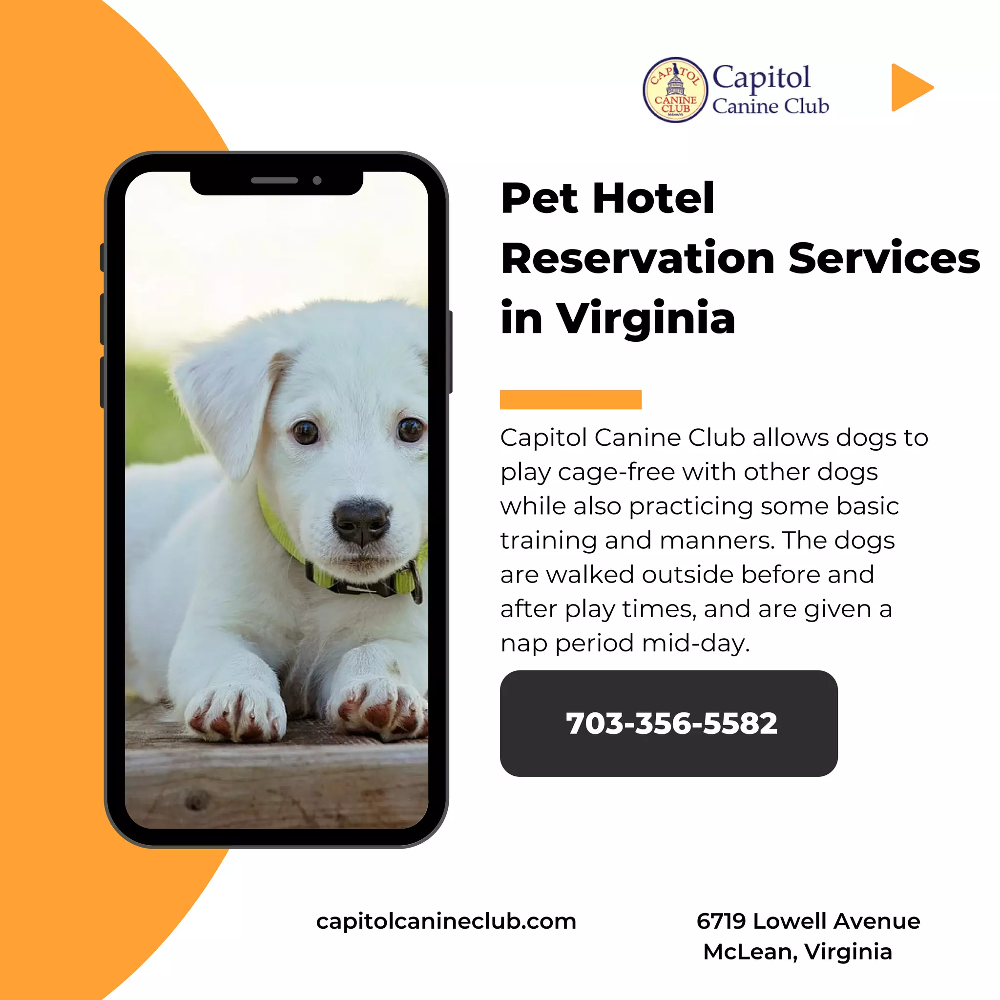 Pet Hotel Reservation Services in Virginia | PDF