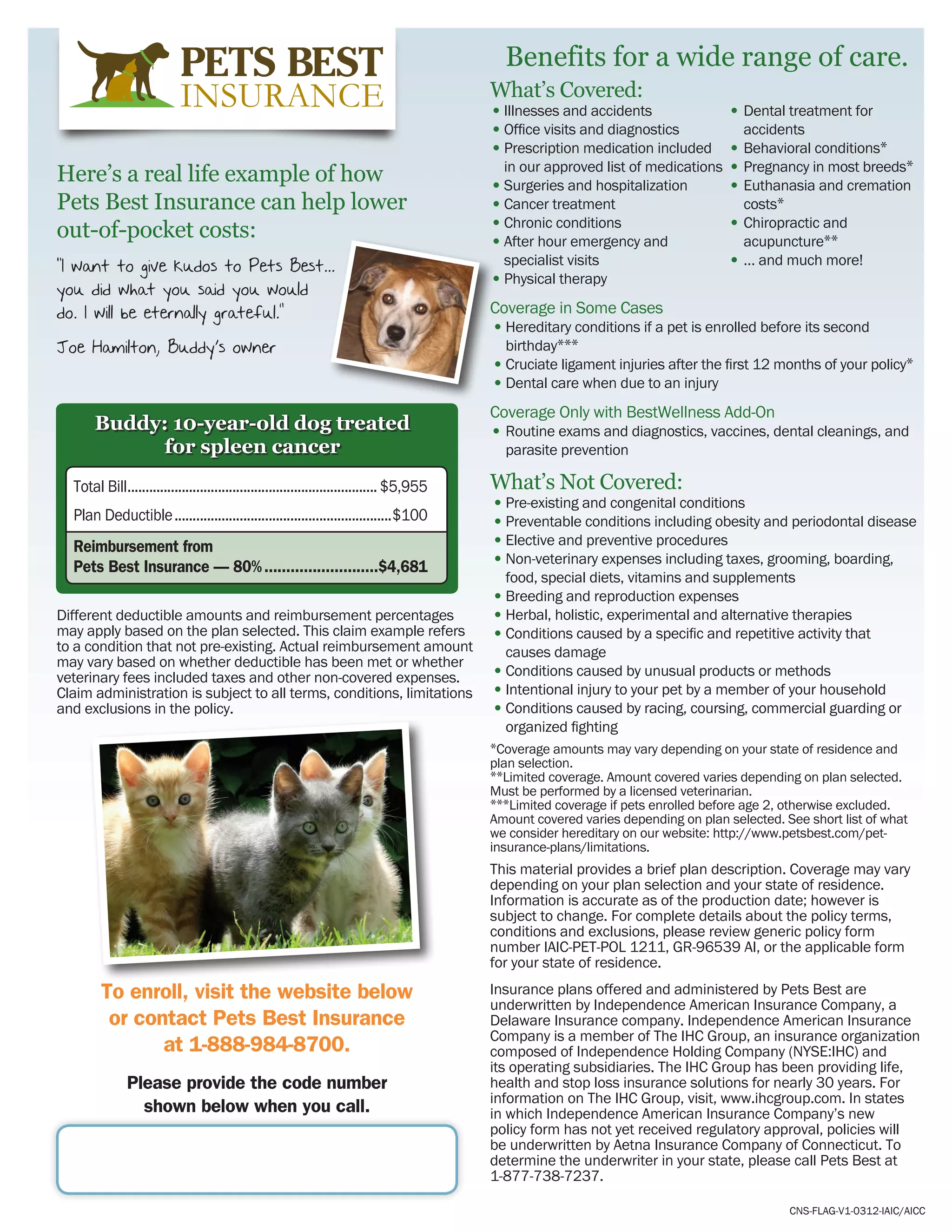 Pet Insurance Flyer | PDF