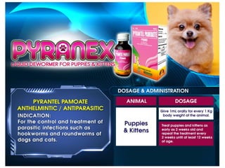 Pet options products | PDF