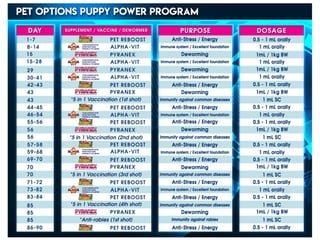Pet options products | PPT