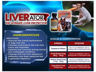 Pet options products | PDF