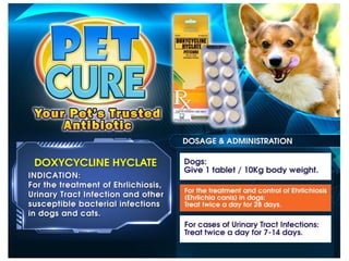 Pet options products | PDF