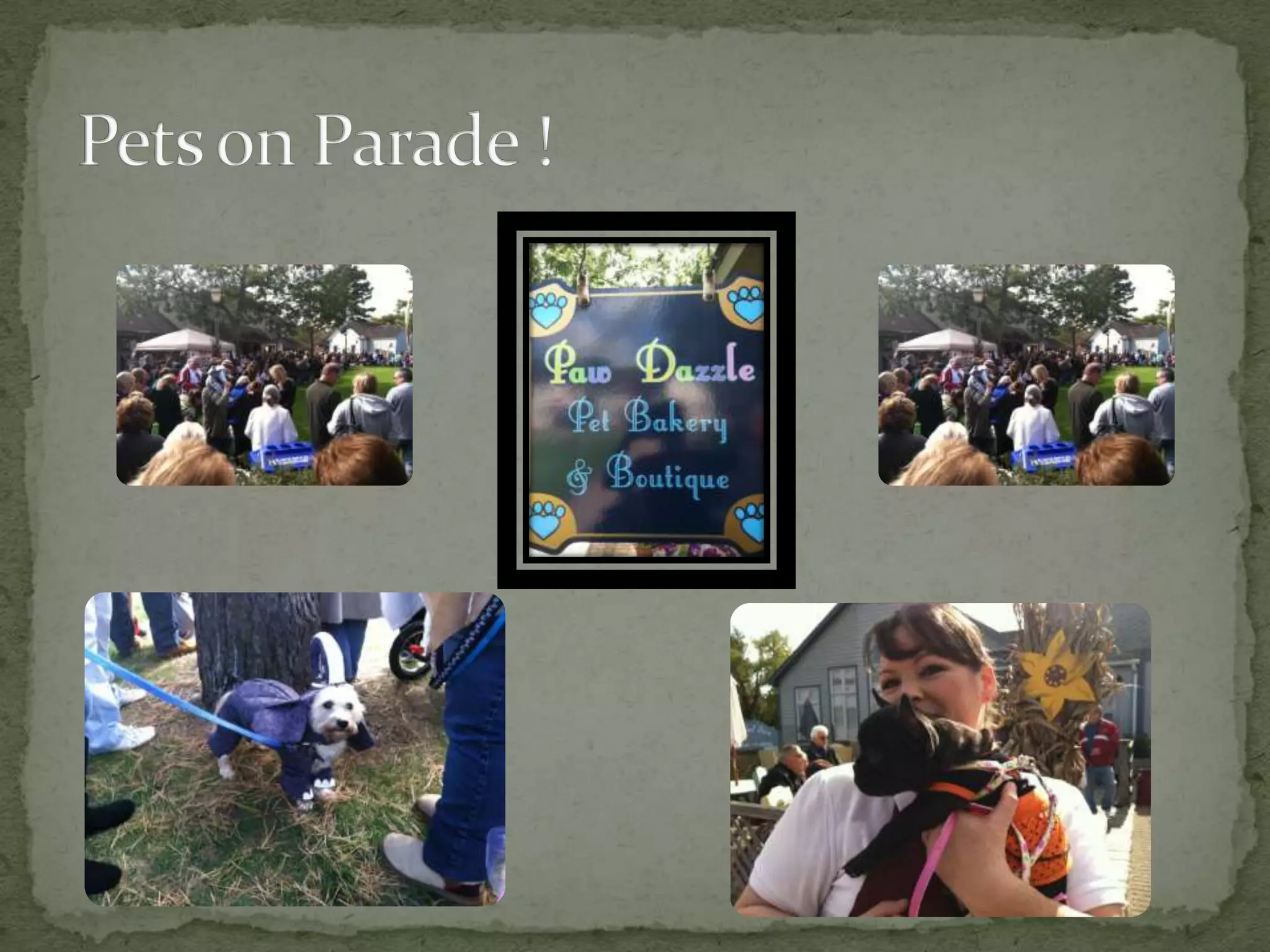 Pet parade | PPTX