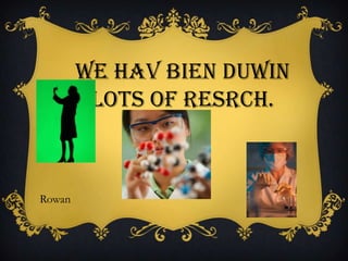 Guinea Pig PowerPoint | PPTX