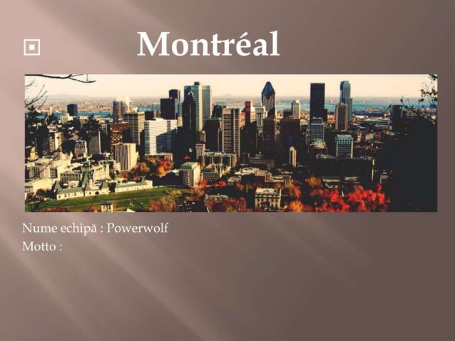 Colegiul National Roman Voda | PPTX