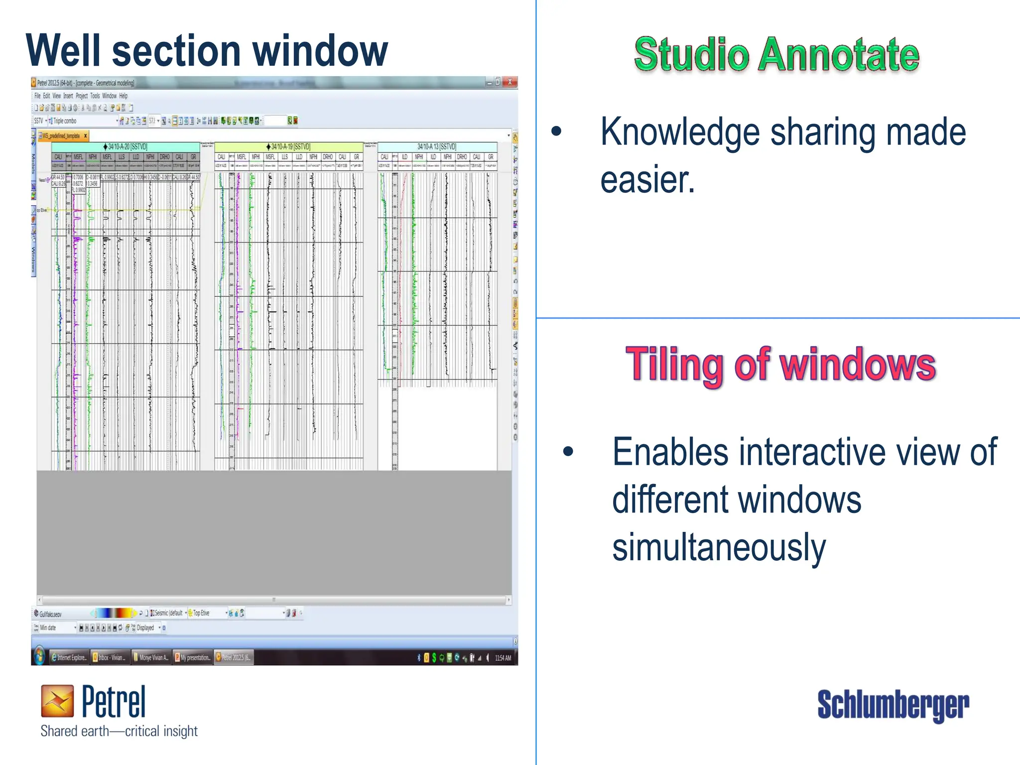 Petrel_Fundamentals_An_Overview_Geology.pdf