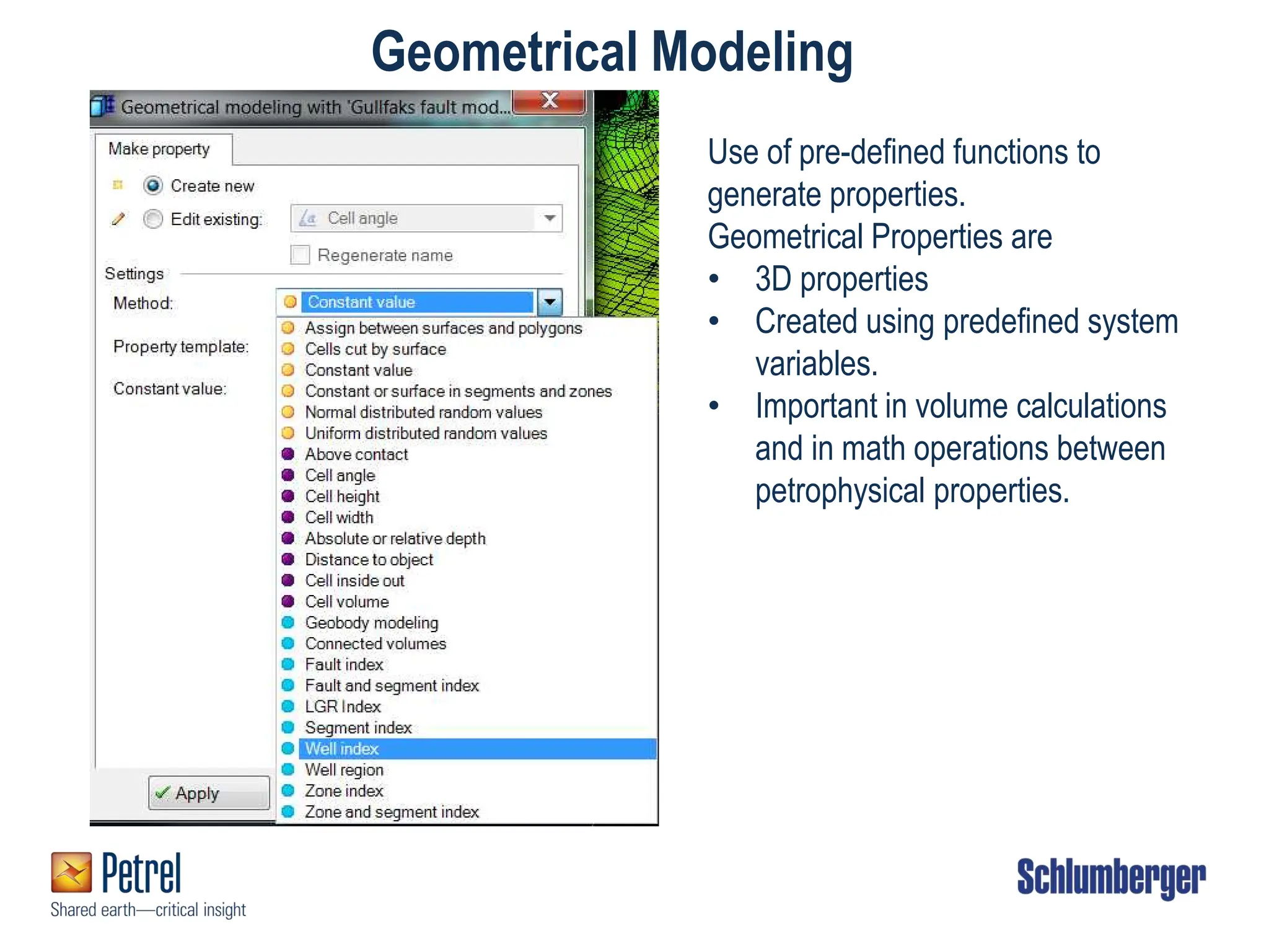 Petrel_Fundamentals_An_Overview_Geology.pdf