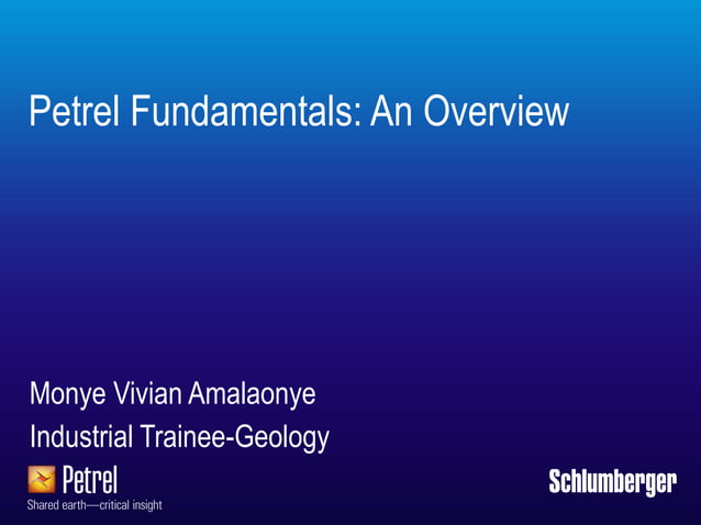 Petrel_Fundamentals_An_Overview_Geology.pdf