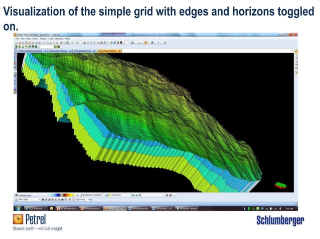 Petrel_Fundamentals_An_Overview_Geology.pdf