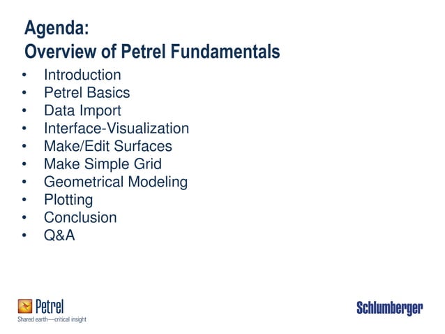 Petrel_Fundamentals_An_Overview_Geology.pdf