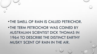 Petrichor | PDF | Chemistry | Science