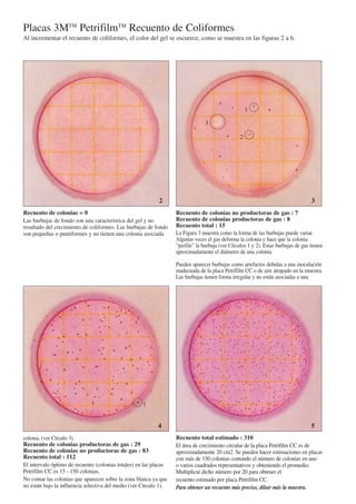 Petrifilm coliformes | PDF