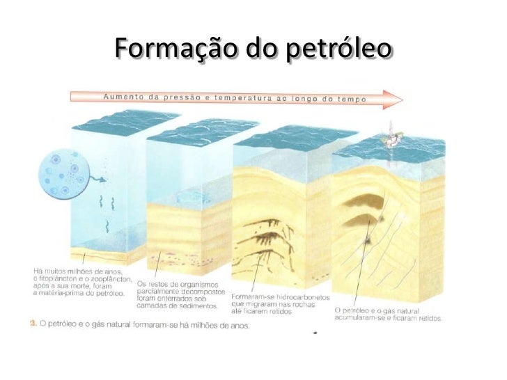 Petróleo e Gás Natural - 10º B