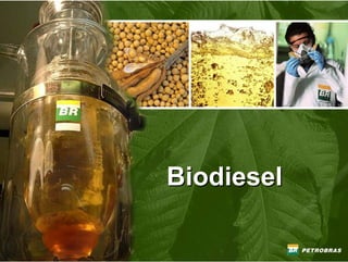 Petrobras biofuels may2007 | PDF