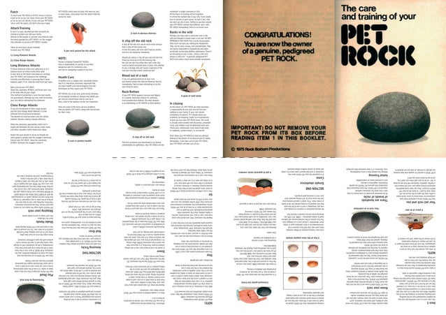 Make Your own Pet Rock part 1: The Manual | PPT
