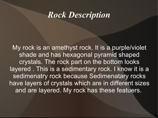 Pet rock project | ODP