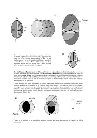Petrographic notes | PDF