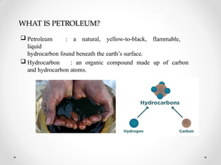 Petroleum Geology and System Analysis Lecture | PPTX