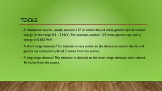 Density Log | PDF