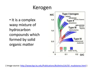 Petroleum ( Hydrocarbon ) | PPTX