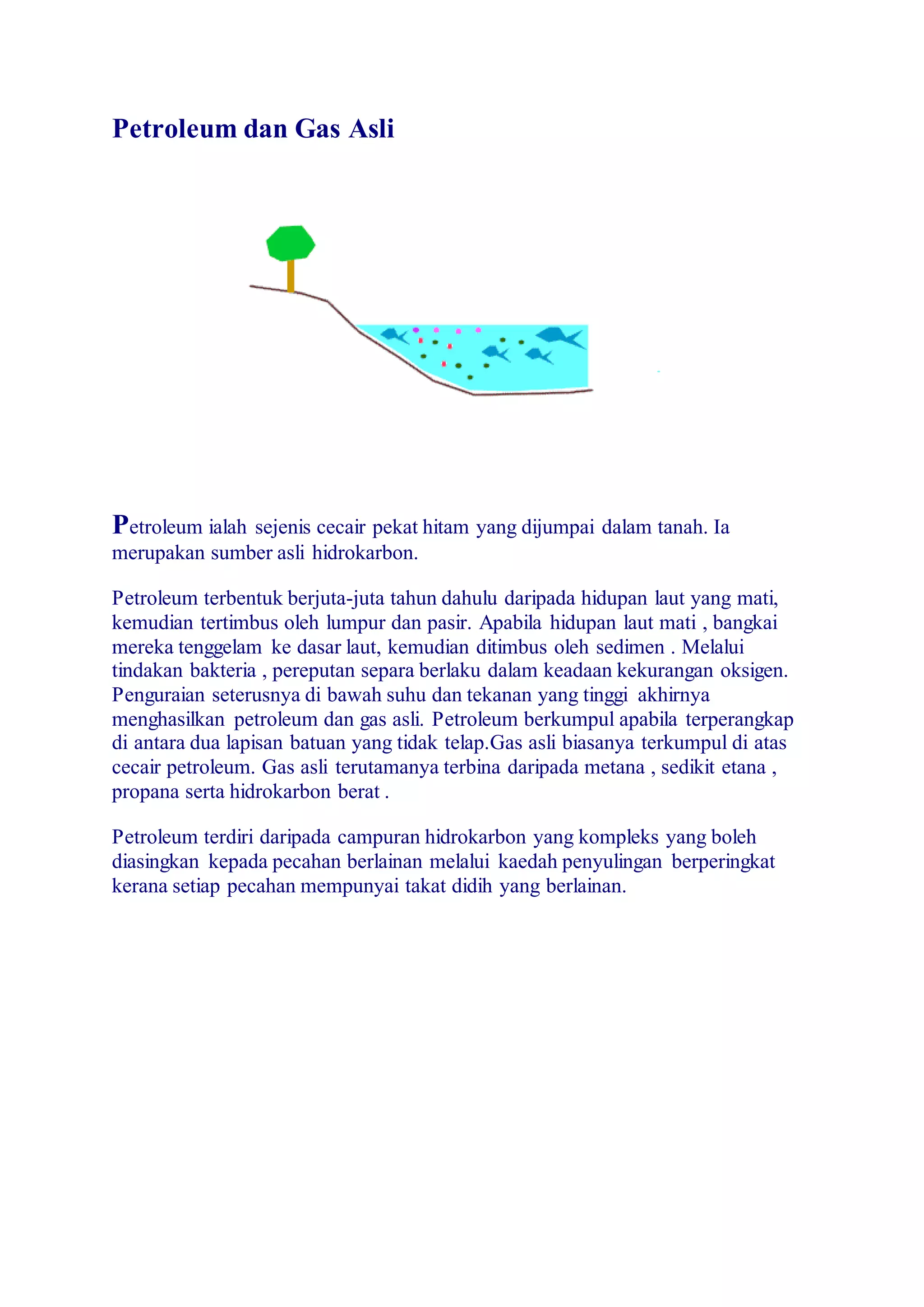 Petroleum dan gas asli | DOCX