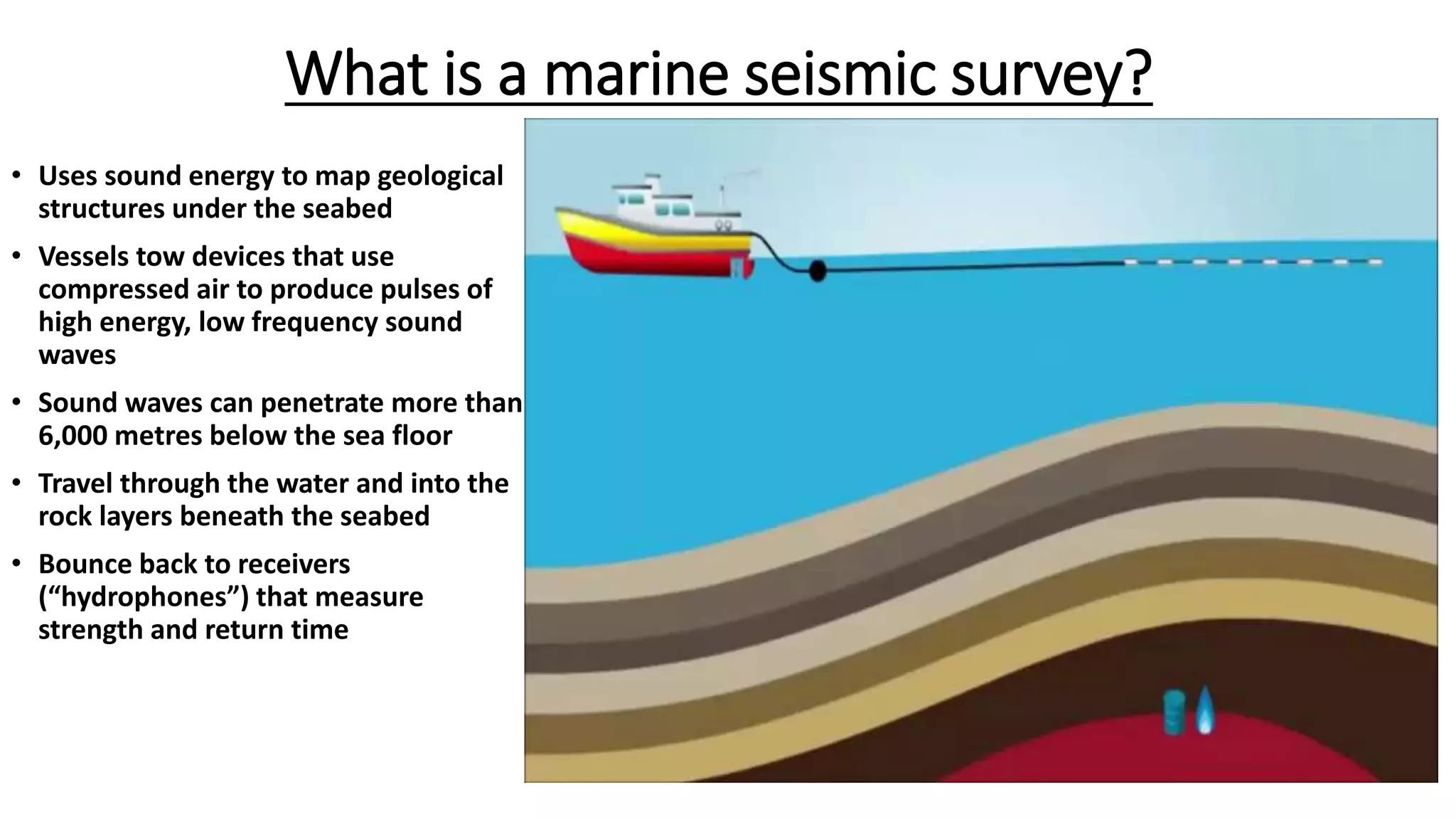 Petroleum engineering upstream(presentation) | PPTX