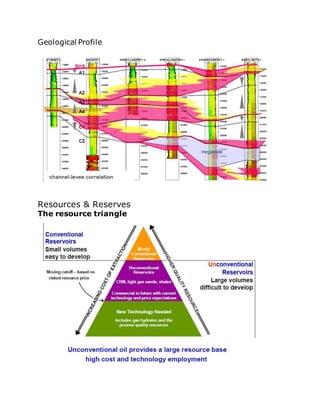 Petroleum exploration | DOCX