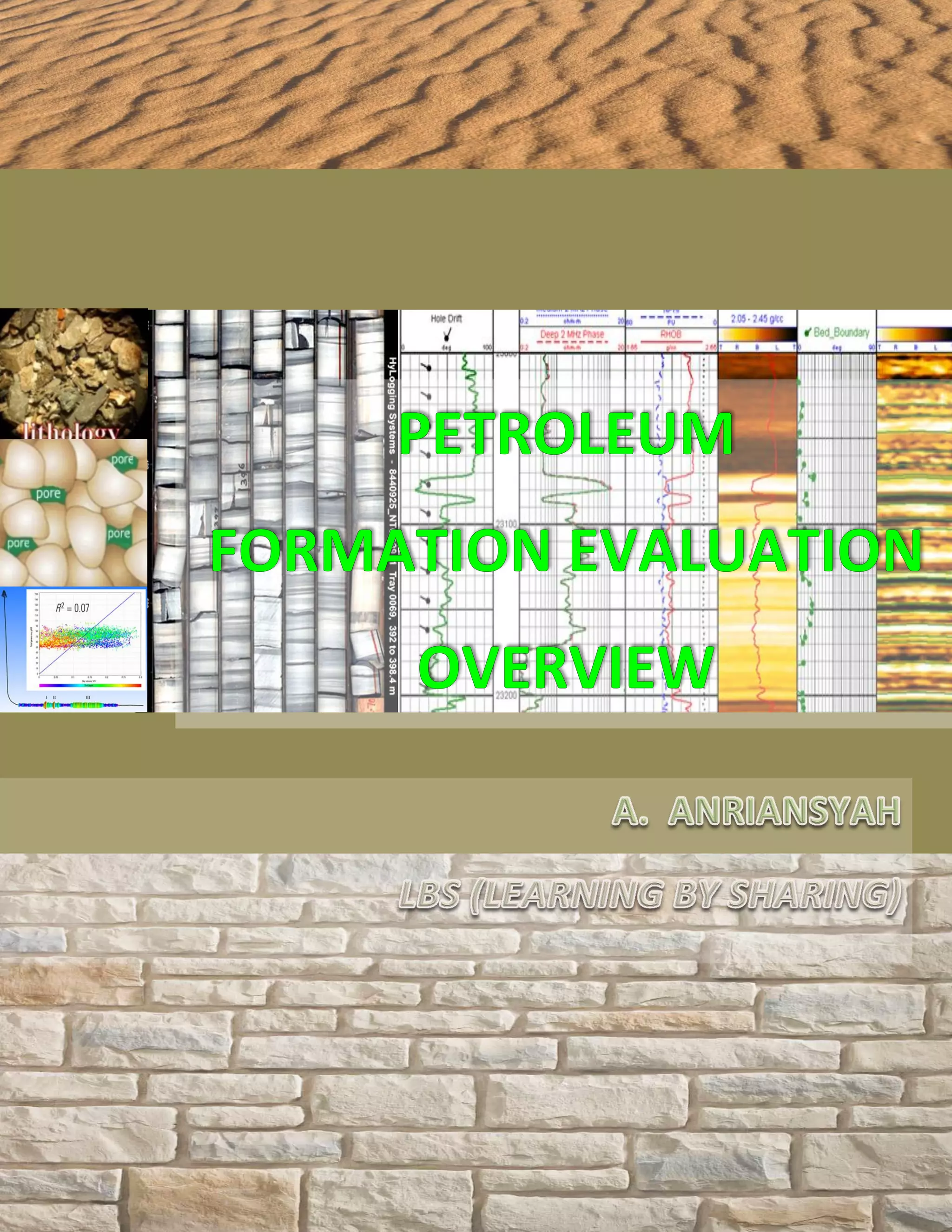 Petroleum Formation Evaluation Overview | PDF
