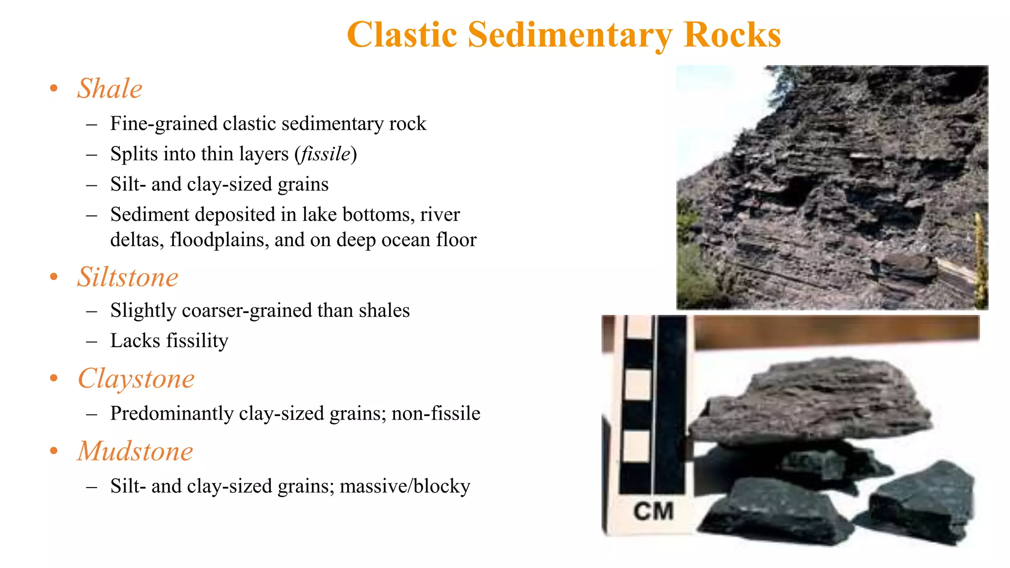 Petroleum geology lab 1 | PPTX