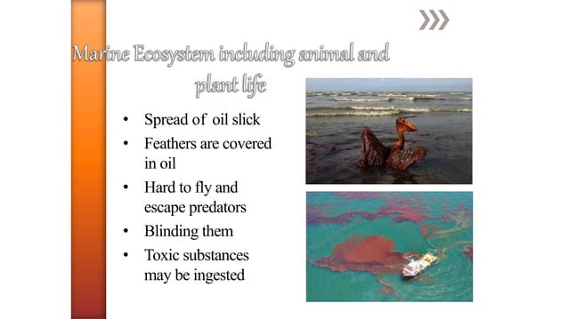 Petroleum hydrocarbon pollution in marine environment | PPTX