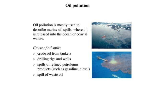 Petroleum hydrocarbon pollution in marine environment | PPTX