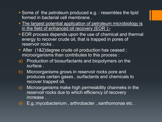 Petroleum microbiology | PPTX