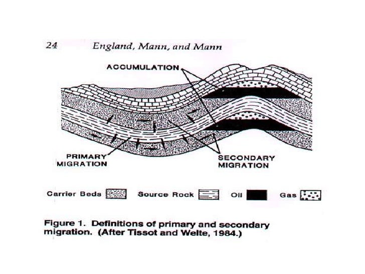 Petroleum migration by waqar