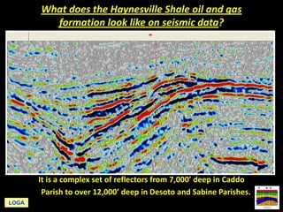 Petroleum Seismology Notes | PDF
