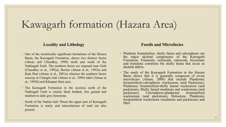 Petroleum system, facies analysis and sedimentology of jurassic ...