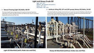 Petroleum_Upstream_Operations_CPF_TPF_and_EPF__1748813365.pdf