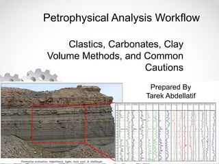 Petrophysical AnalysisWorkflow Process.pdf