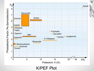 Petrophysical AnalysisWorkflow Process.pdf