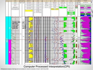 Petrophysical AnalysisWorkflow Process.pdf