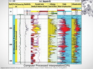 Petrophysical AnalysisWorkflow Process.pdf