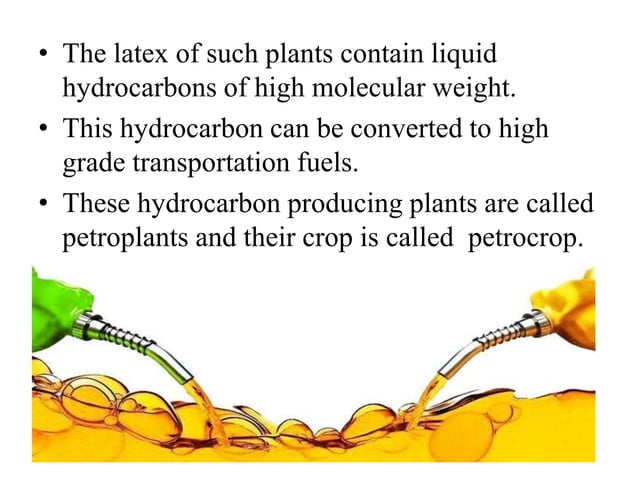 Petroplants | PPTX | Agriculture | Industries