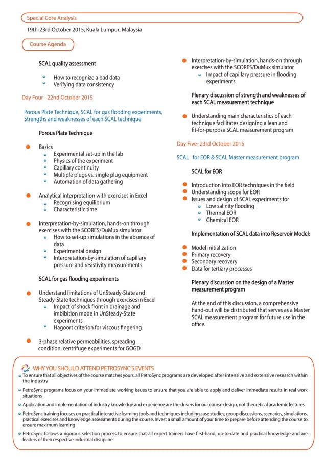 PetroSync - Special Core Analysis | PDF