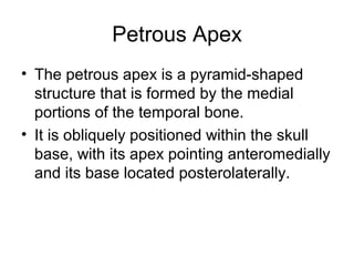 Apex Of Petrous Temporal Bone