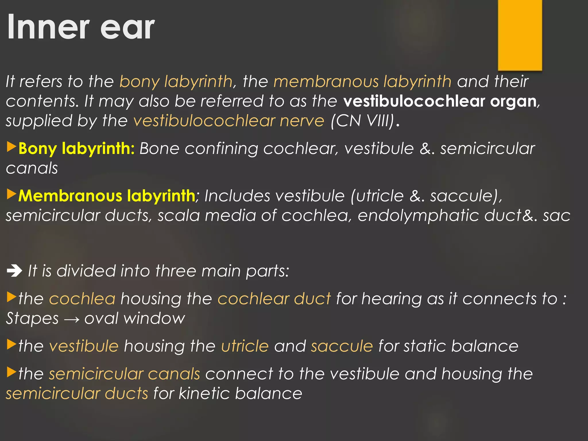 Temporal bone Radiologic anatomy.. In depth | PPT