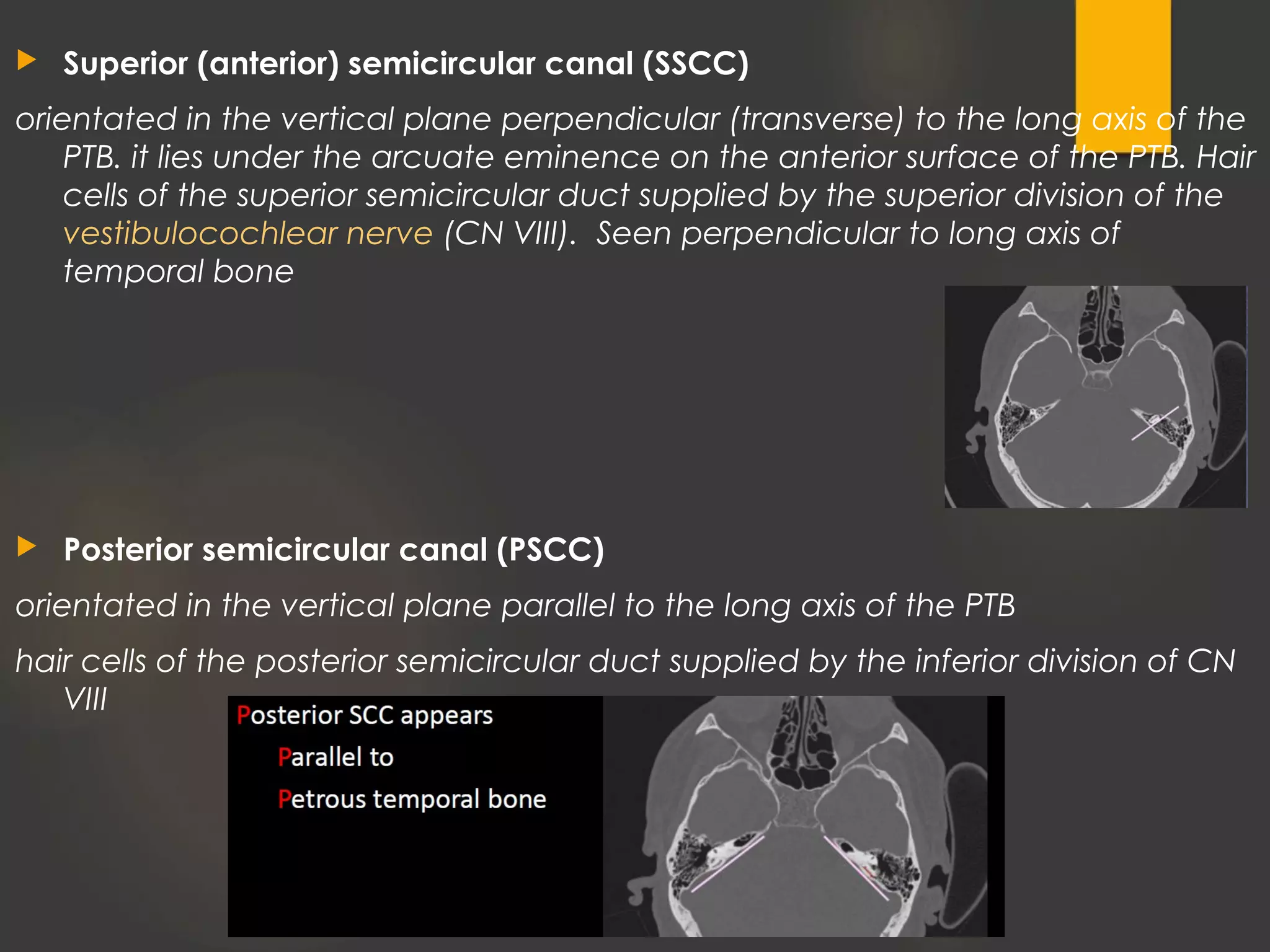 Temporal bone Radiologic anatomy.. In depth | PPT