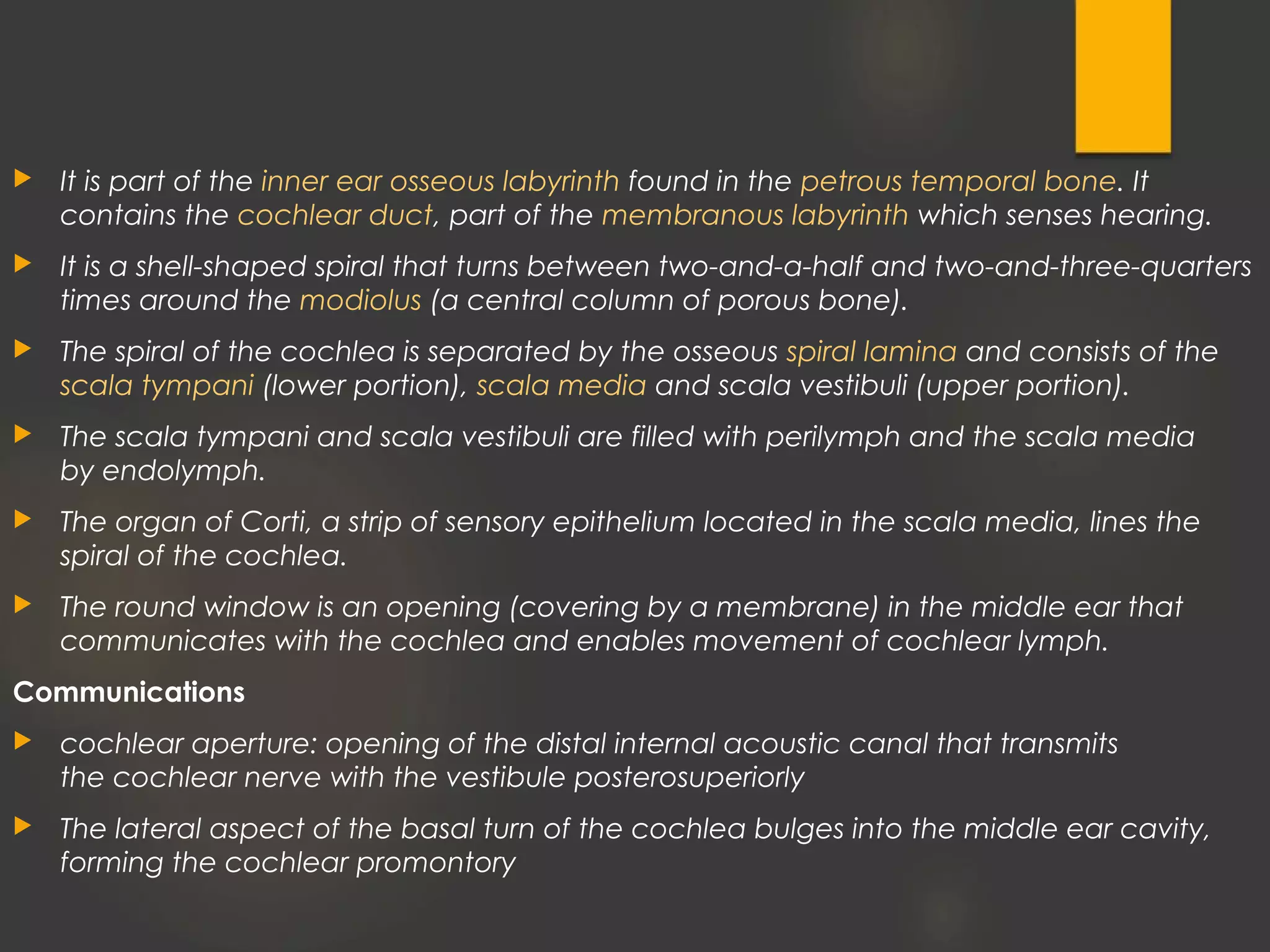 Temporal bone Radiologic anatomy.. In depth | PPT