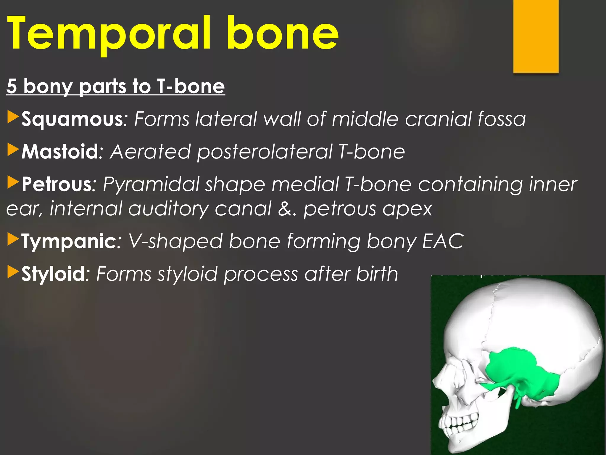 Temporal bone Radiologic anatomy.. In depth | PPT